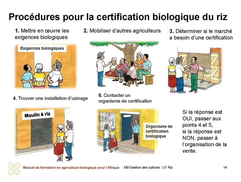 Organic Africa - Commercialisation et certification biologique de la ...