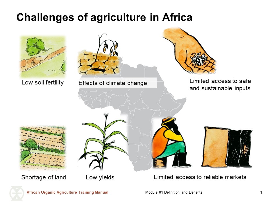 Organic Africa - Challenges facing agriculture in Africa